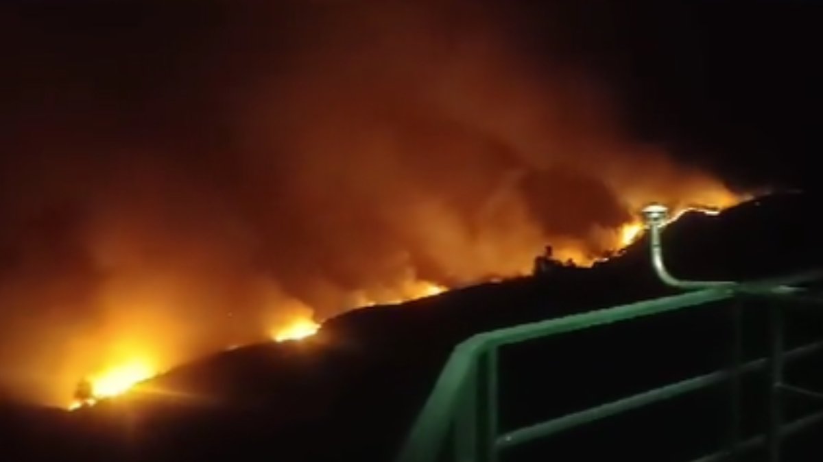 Forest fire declared in Tenerife reaches Level 2 severity and leads to ...