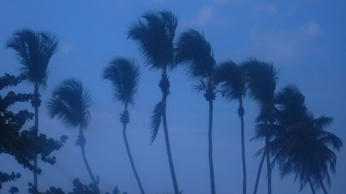 The cyclone near the Canary Islands becomes Tropical Storm Hermine