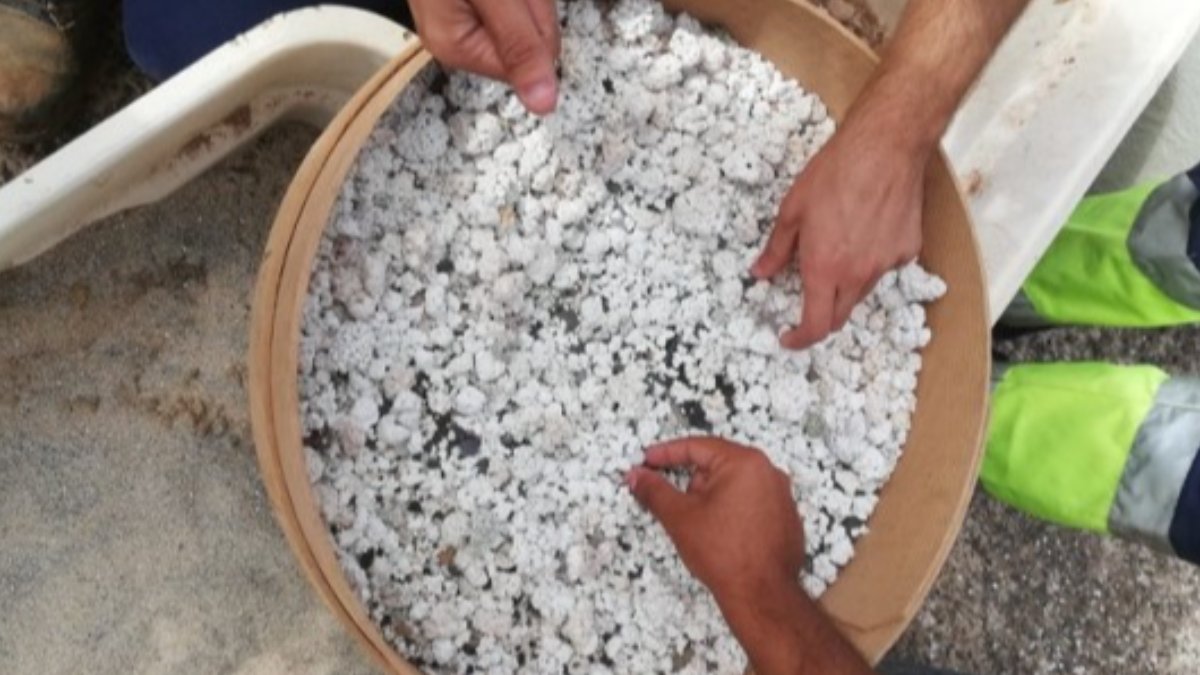Over 4,500 kilograms of sand, stones, shells confiscated at ...