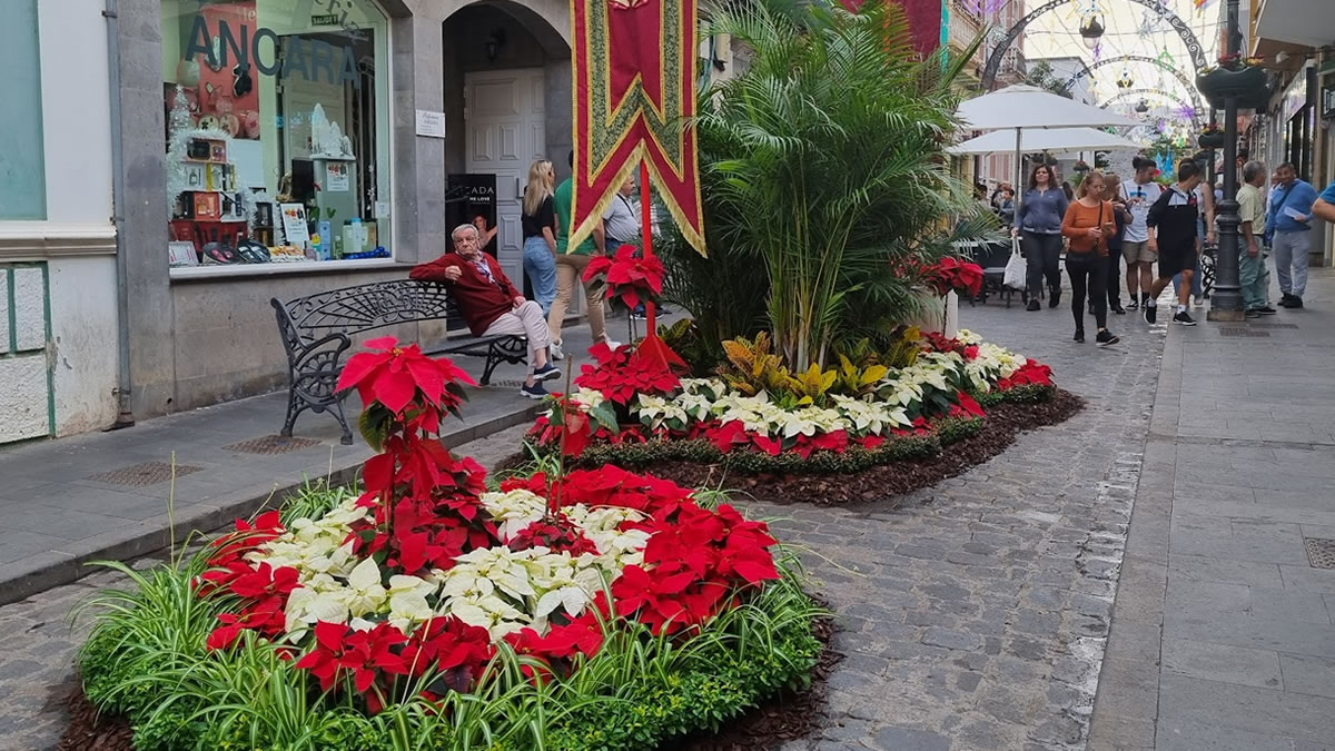 New edition of 'Gáldar in Bloom' celebrated during the month of May