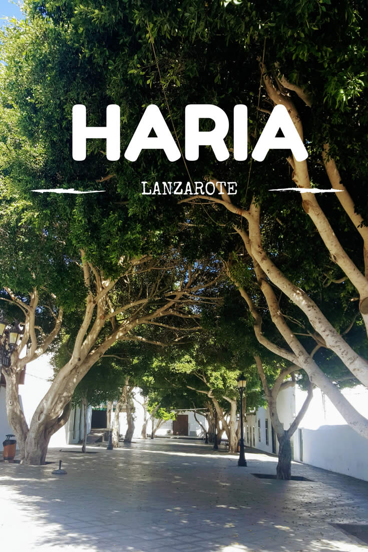 Visit Haria in Lanzarote - 5 Best Things To Do and See