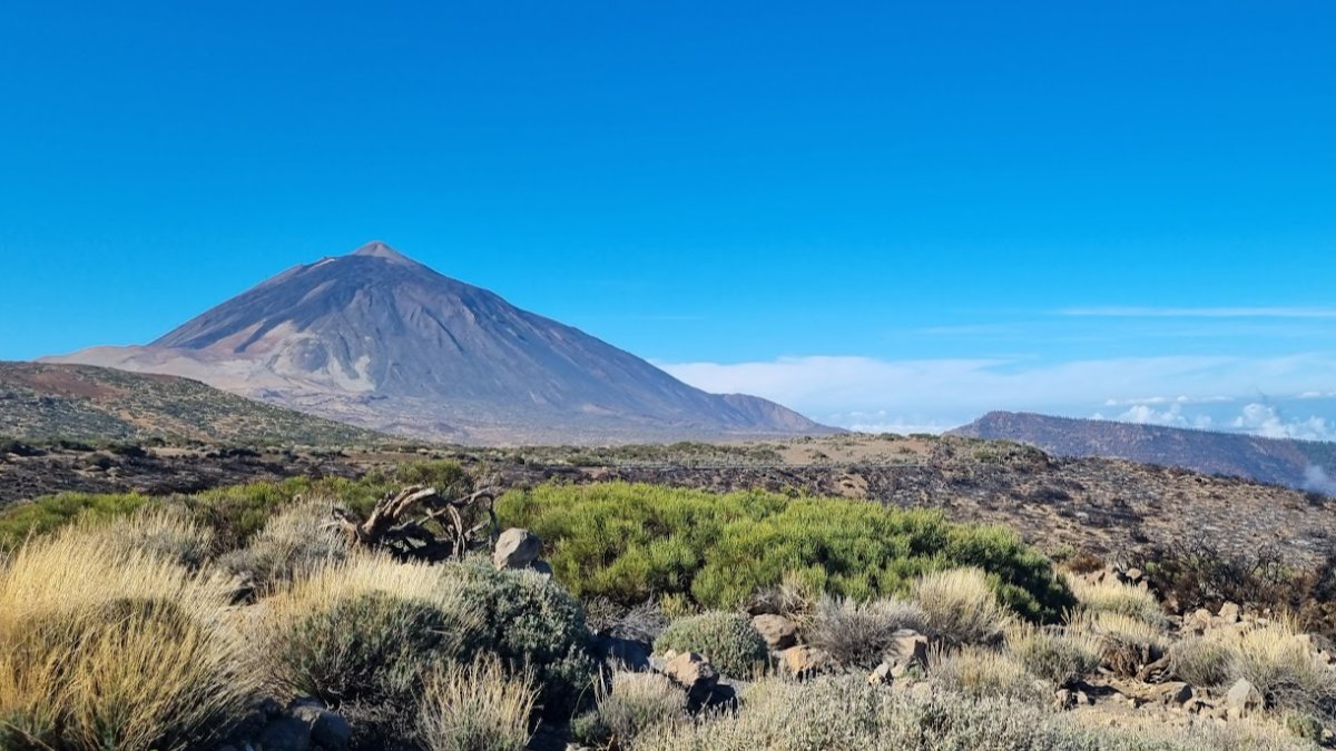 Tenerife authorities contemplate charging a fee for visiting Protected ...