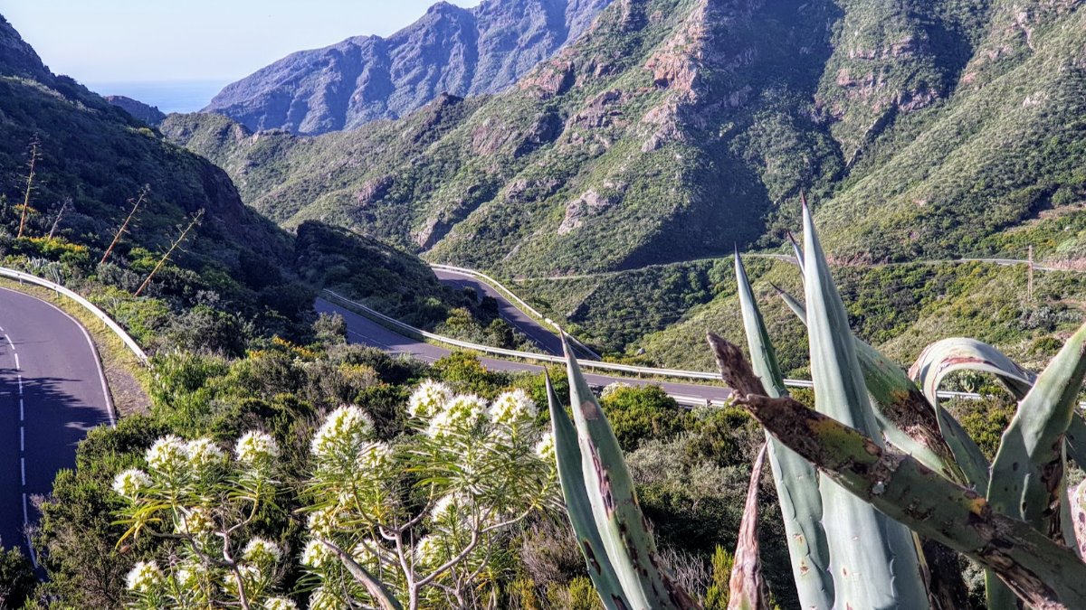 Tenerife to ban large tourist buses in Anaga from 2025