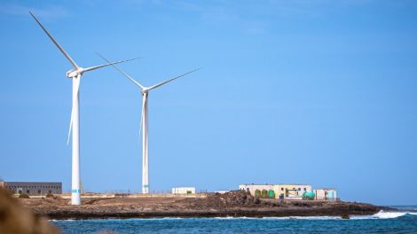 Turtle Nursery in Morro Jable, Fuerteventura, reopens on June 15
